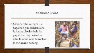 Moraba-raba.pptx
