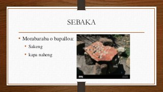Moraba-raba.pptx
