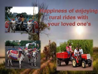 Morachi Chincholi | PPT