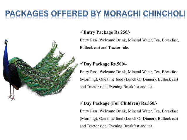 Morachi Chincholi | PPT
