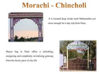 Morachi chincholi | PPTX
