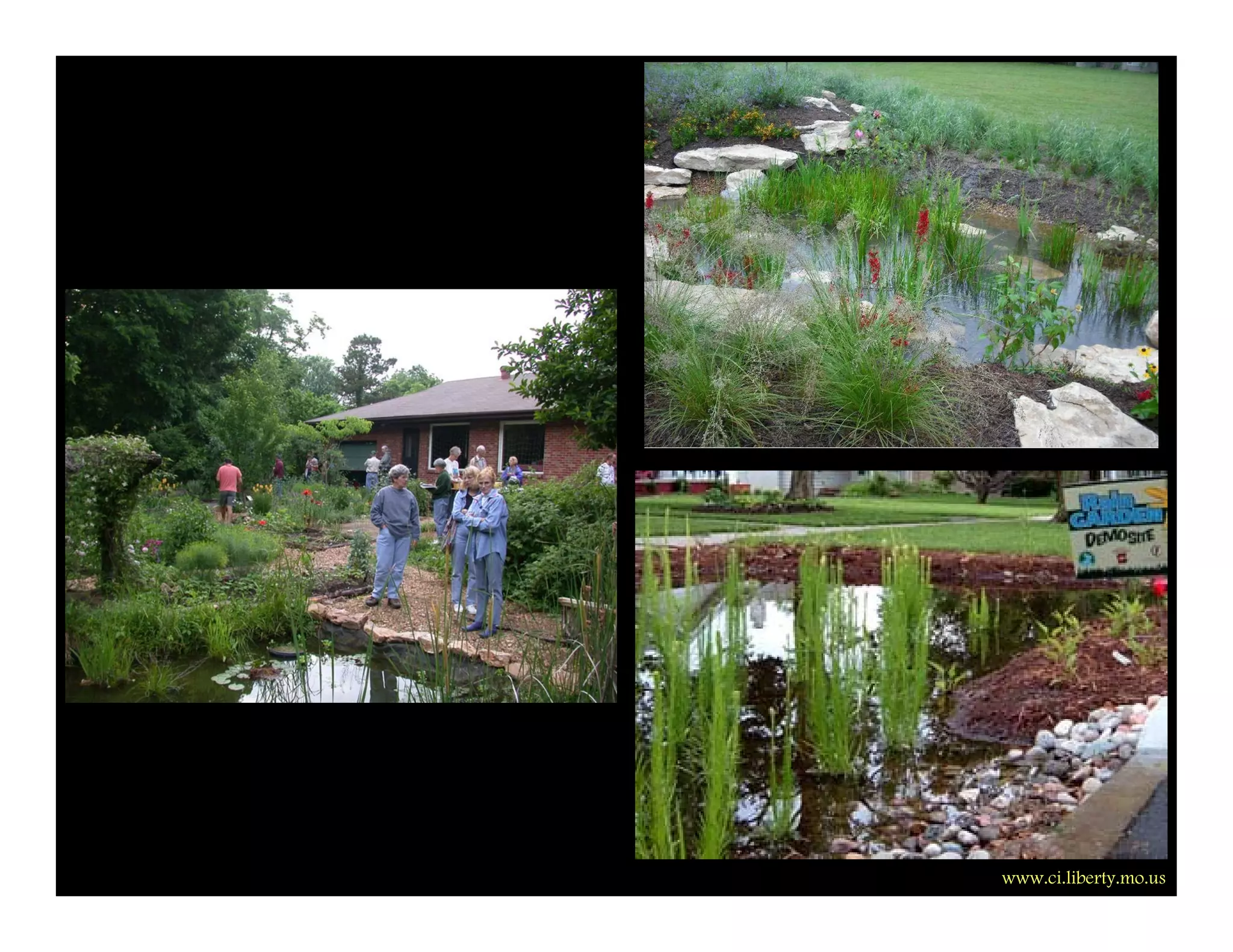 MO: Rain Gardens - Sustainable Solutions for Storm Water Runoff | PPT
