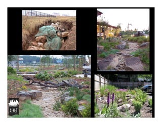 MO: Rain Gardens - Sustainable Solutions for Storm Water Runoff | PPT