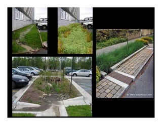 MO: Rain Gardens - Sustainable Solutions for Storm Water Runoff | PPT