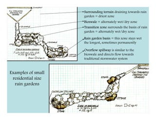 MO: Rain Gardens - Sustainable Solutions for Storm Water Runoff | PPT