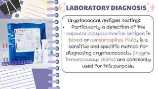 Report about Cryptococcus Neoformans-BSN-1D-C.-Neoformans.pdf