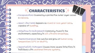Report about Cryptococcus Neoformans-BSN-1D-C.-Neoformans.pdf