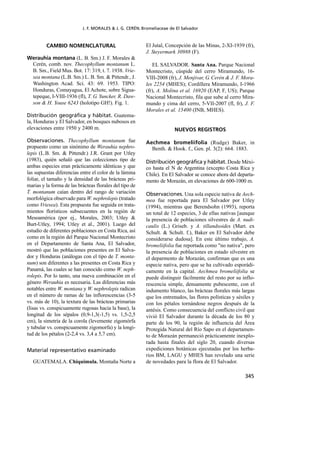 Morales & ceren bromelias de el salvador | PDF