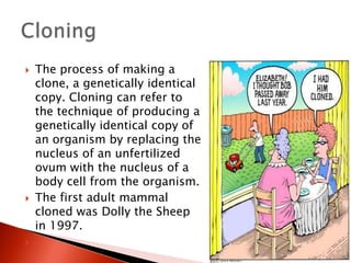 Moral issue of genetic engineering | PPTX