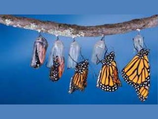 Moral Recovery Program.pptx