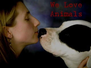 Moral Hypocrisy | PPT