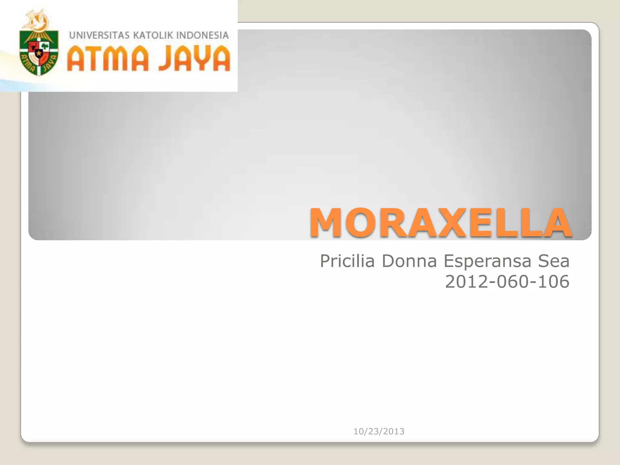 Moraxella | PPT