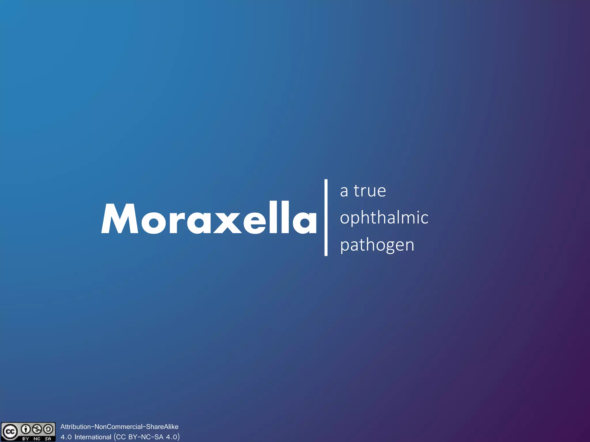 Moraxella | PDF