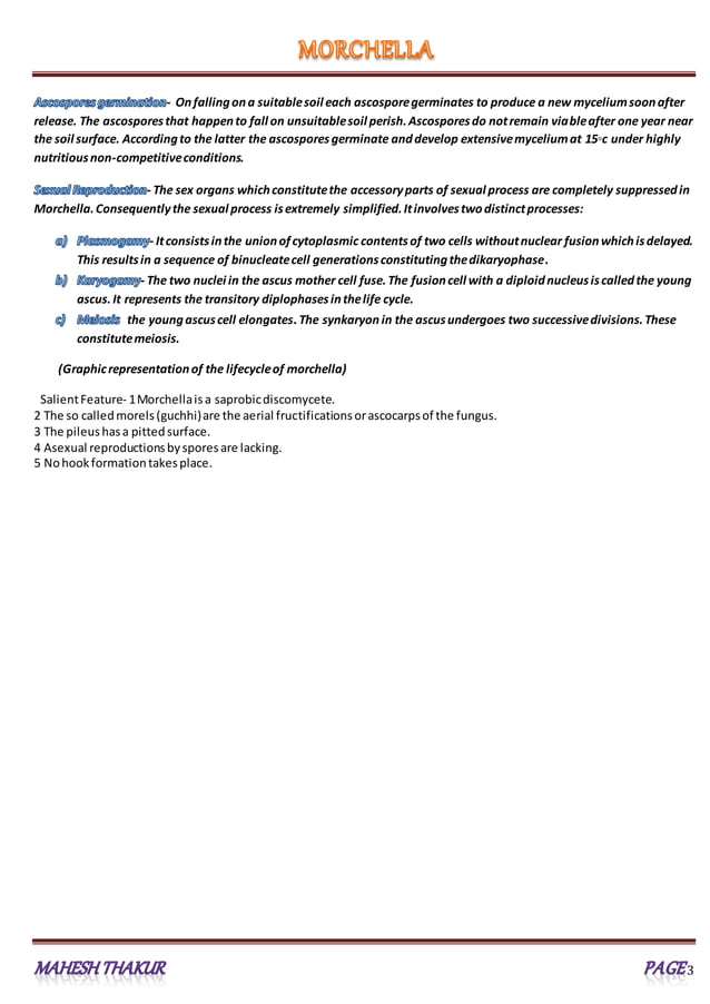 Morchella | DOCX | Infertility | Reproductive Health
