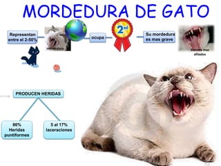 Mordedura de animales | PPTX