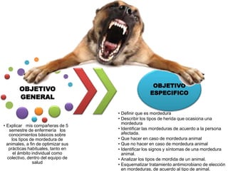 Mordedura de animales | PPTX