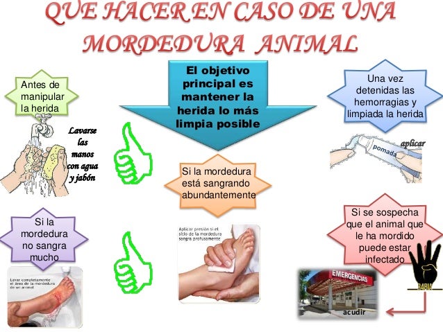Mordedura de animales