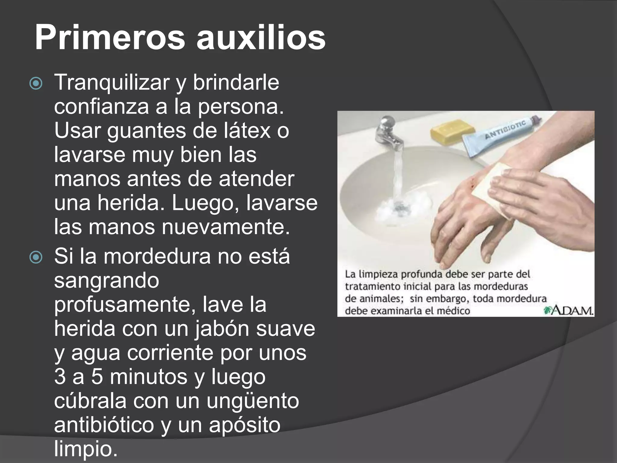 Mordedura de animales | PPT