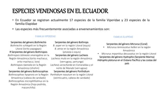 Mordedura de serpiente | PPTX