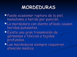 MORDEDURAS-Y-PICADURAS.presentacion de primeros auxiliios | PPT