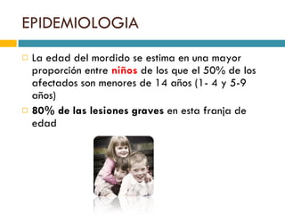 Mordeduras y picaduras | PPT
