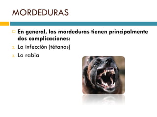 Mordeduras y picaduras | PPT