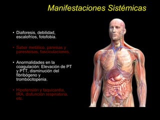 Mordedurasypicaduras1 | PPT