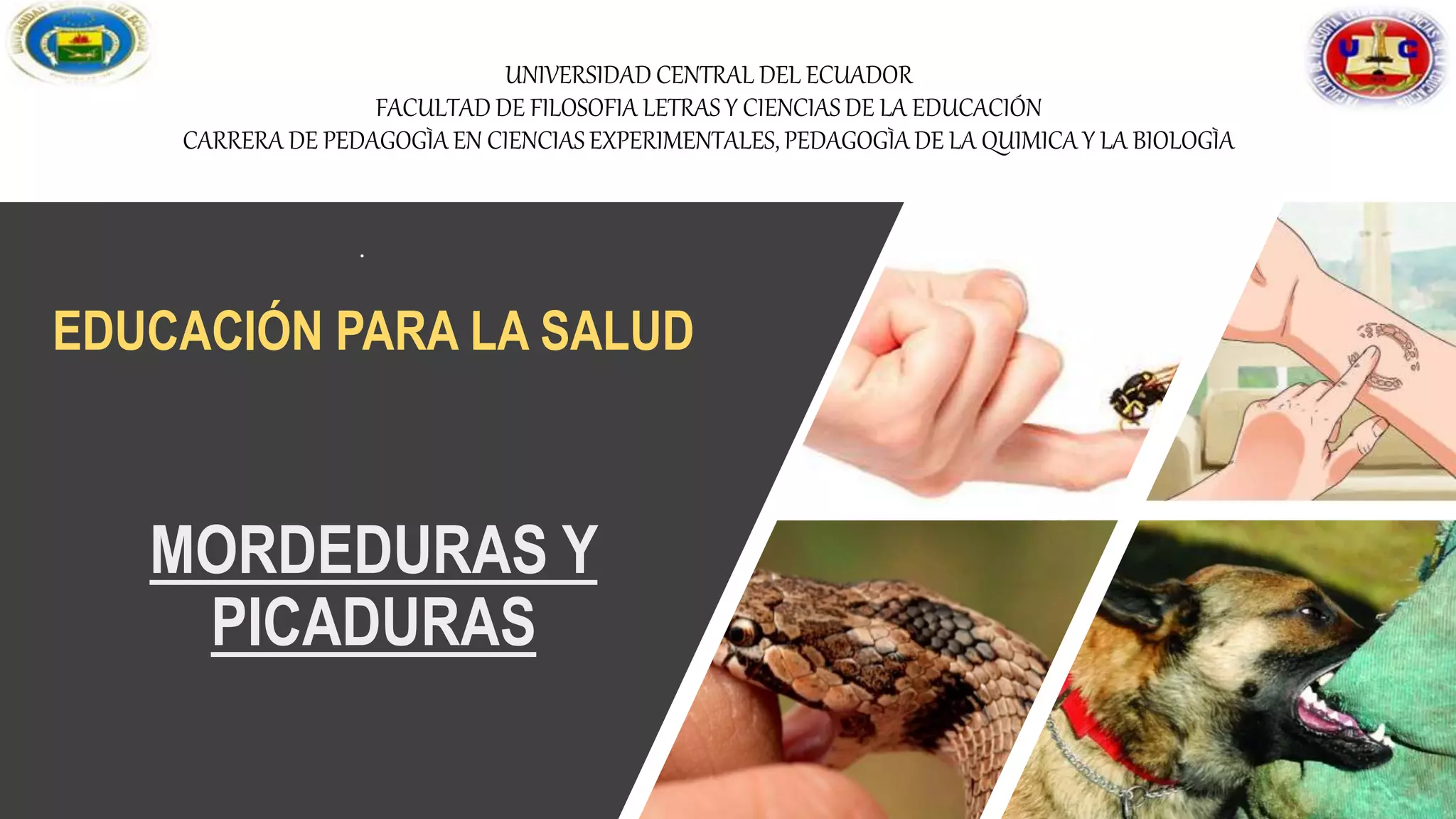 Mordeduras y picaduras | PPT