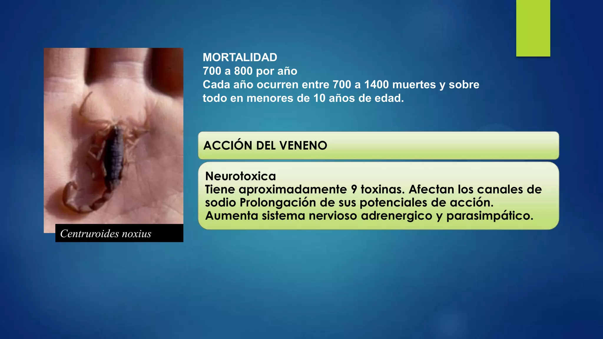 Mordeduras y picaduras de animales.Importantes para personal de salud ...