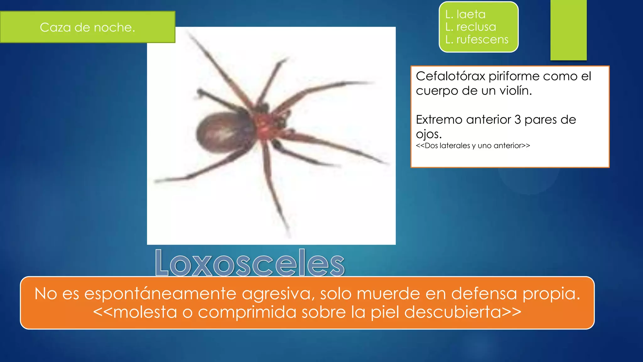 Mordeduras y picaduras de animales.Importantes para personal de salud ...