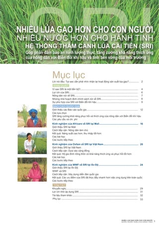 Canh tác lúa cải tiến (VN)_More rice-for-people-more-water-for-the ...