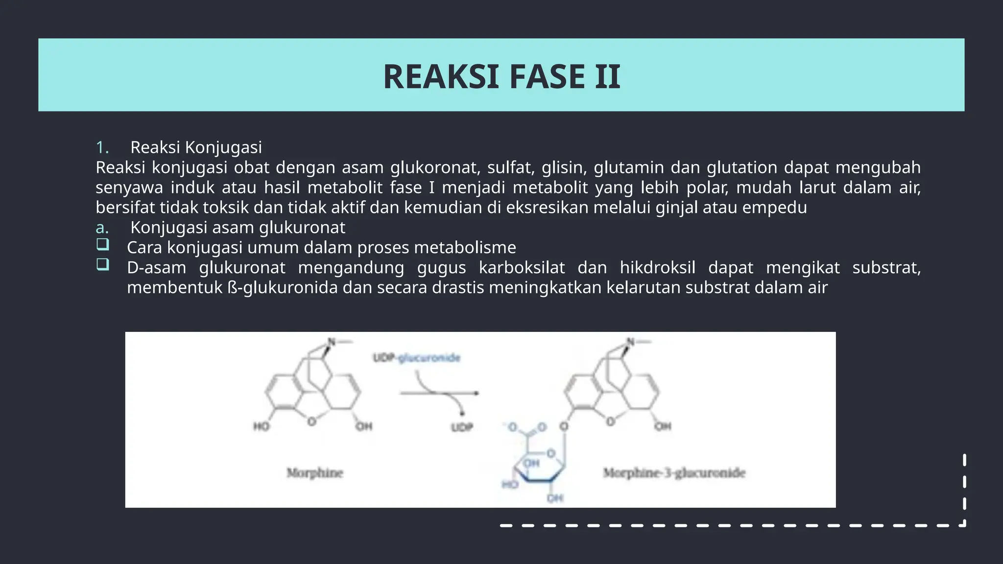 Metabolisme obat fase fase satu dan dua.pptx
