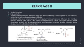 Metabolisme obat fase fase satu dan dua.pptx