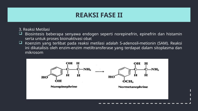 Metabolisme obat fase fase satu dan dua.pptx