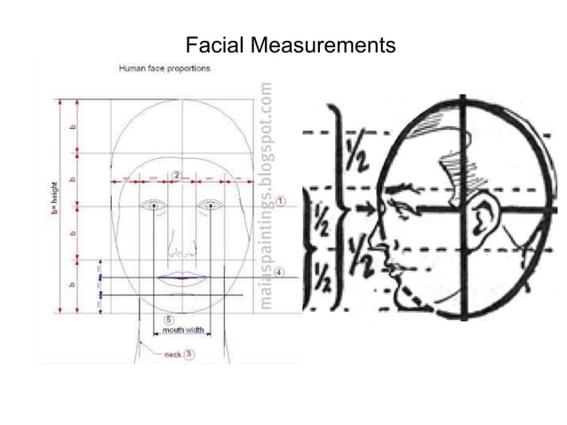 More drawing class 3 | PPT
