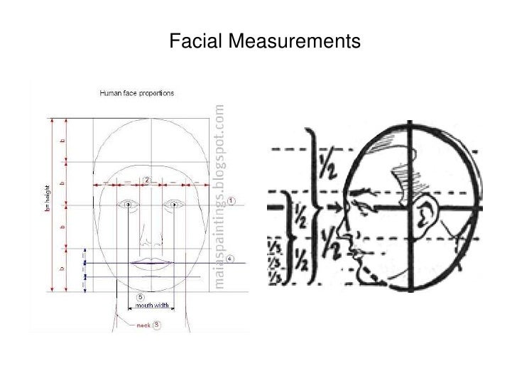 More Drawing Class 4