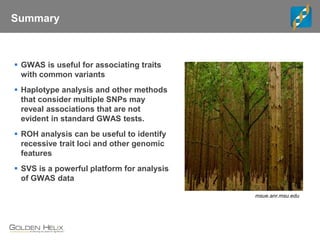 Getting More from GWAS | PPT