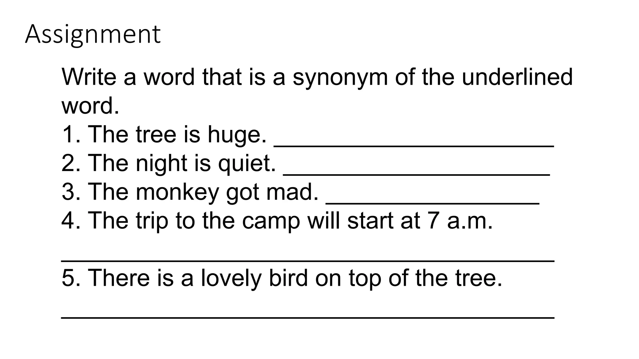 More Fun at the Camp.pptx