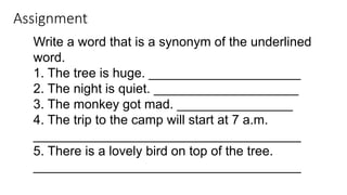 More Fun at the Camp.pptx