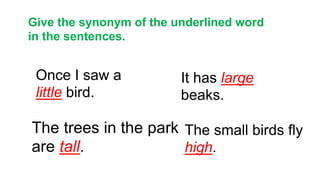 More Fun at the Camp.pptx