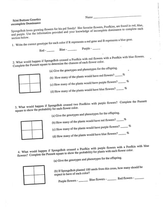 More Genetics Problems | PDF