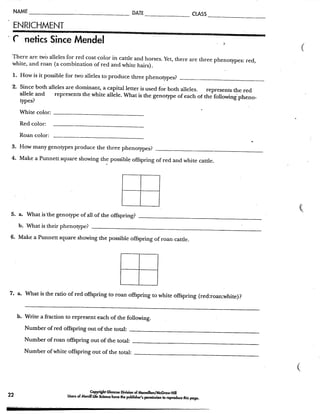 More Genetics Problems | PDF