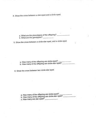 More Genetics Problems | PDF