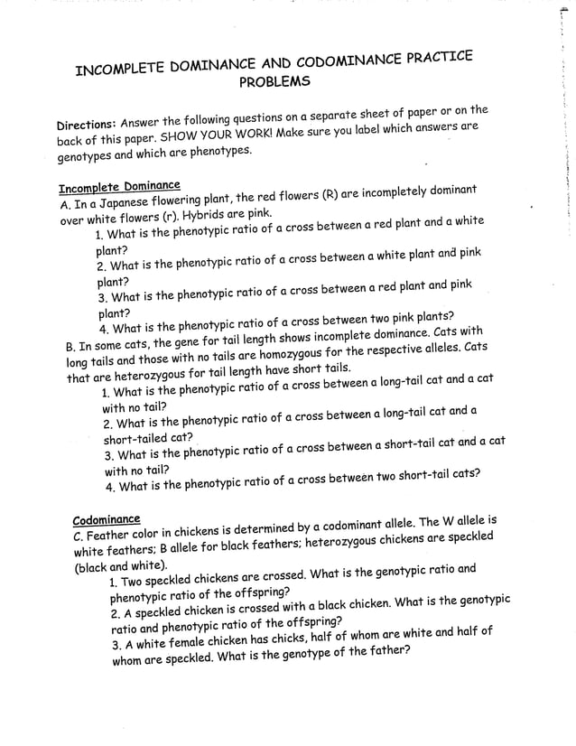 More Genetics Problems | PDF