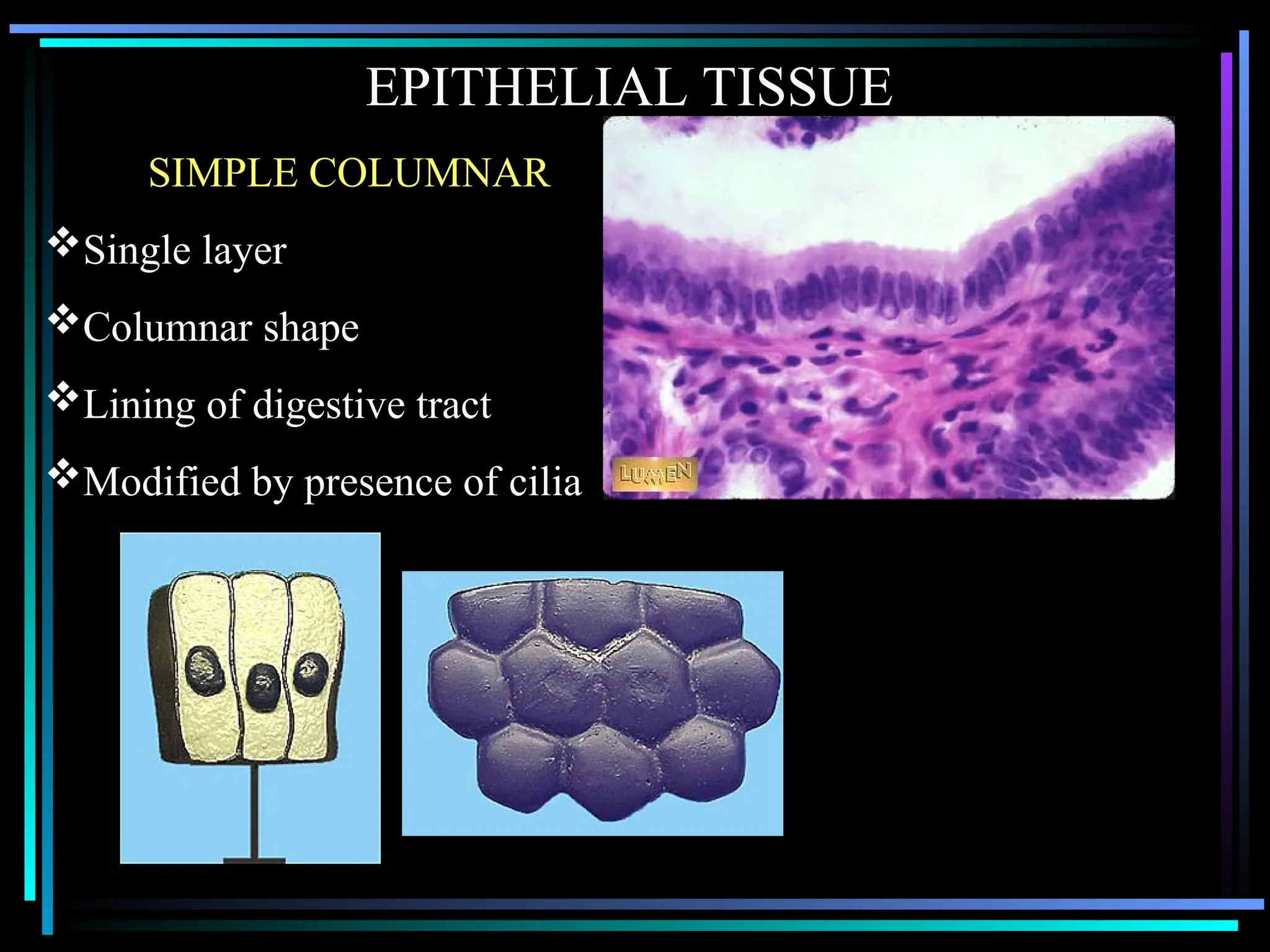 Histology of Tissues and Types of Tissues.ppt
