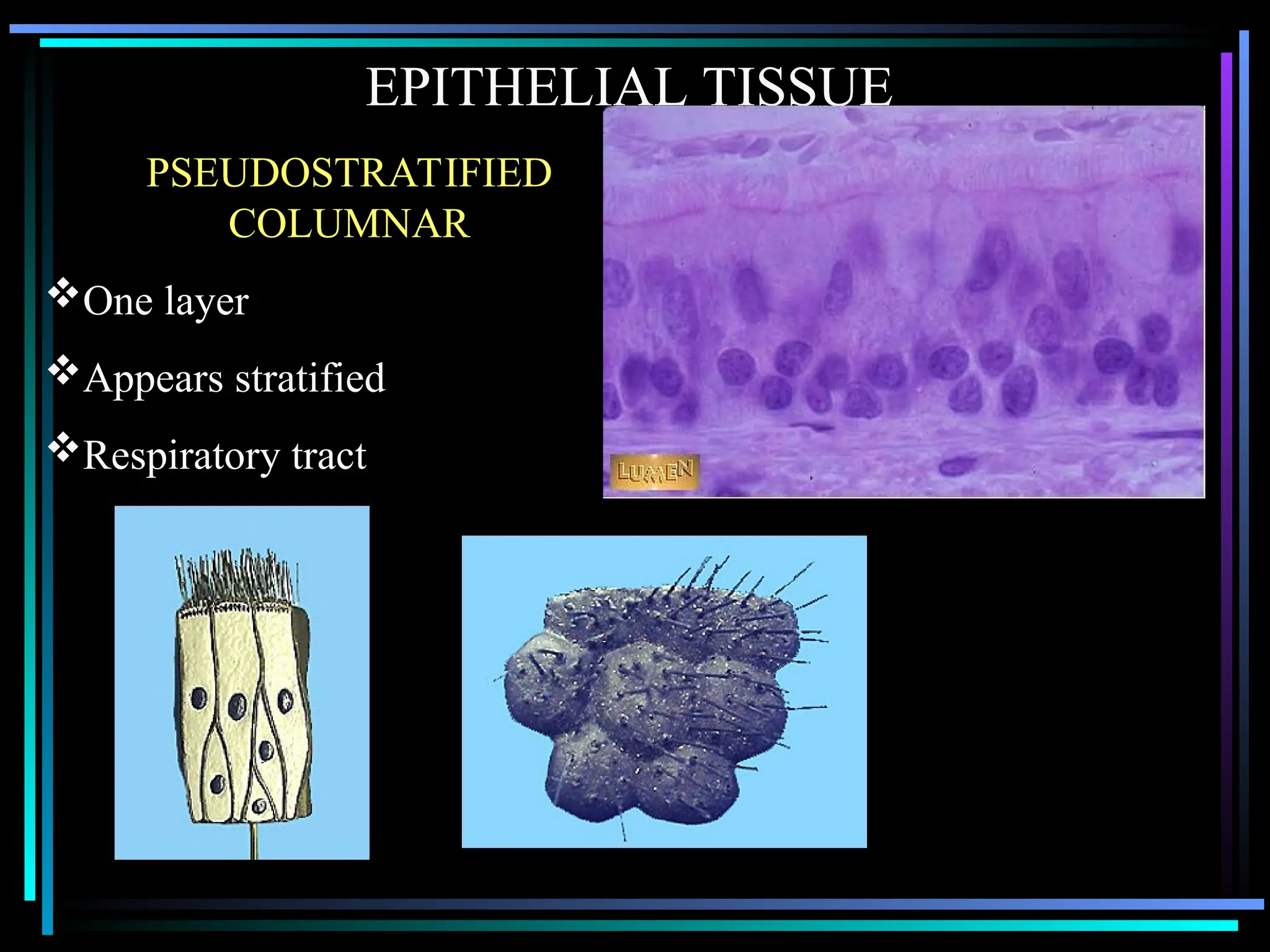 Histology of Tissues and Types of Tissues.ppt