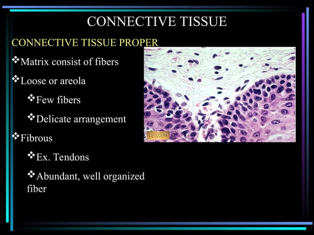 Histology of Tissues and Types of Tissues.ppt