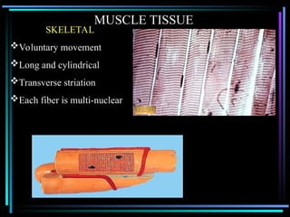Histology of Tissues and Types of Tissues.ppt
