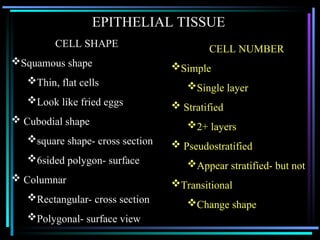 Histology of Tissues and Types of Tissues.ppt