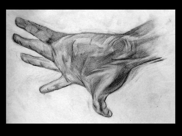 More observation drawing | PPTX
